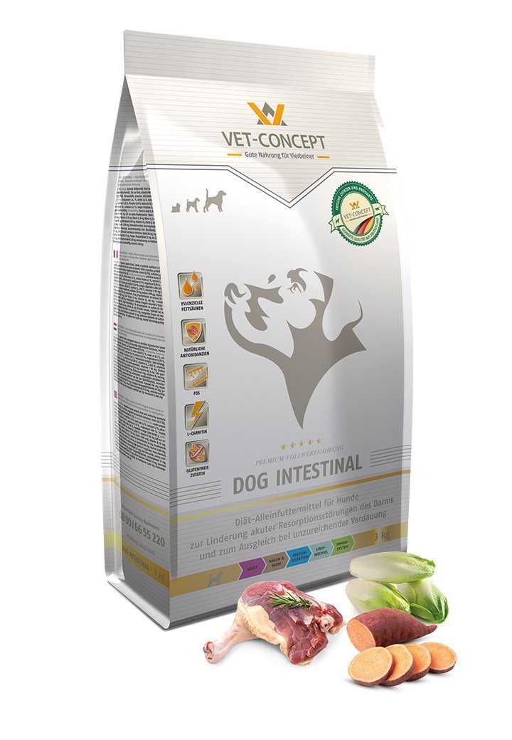 Dog Intestinal